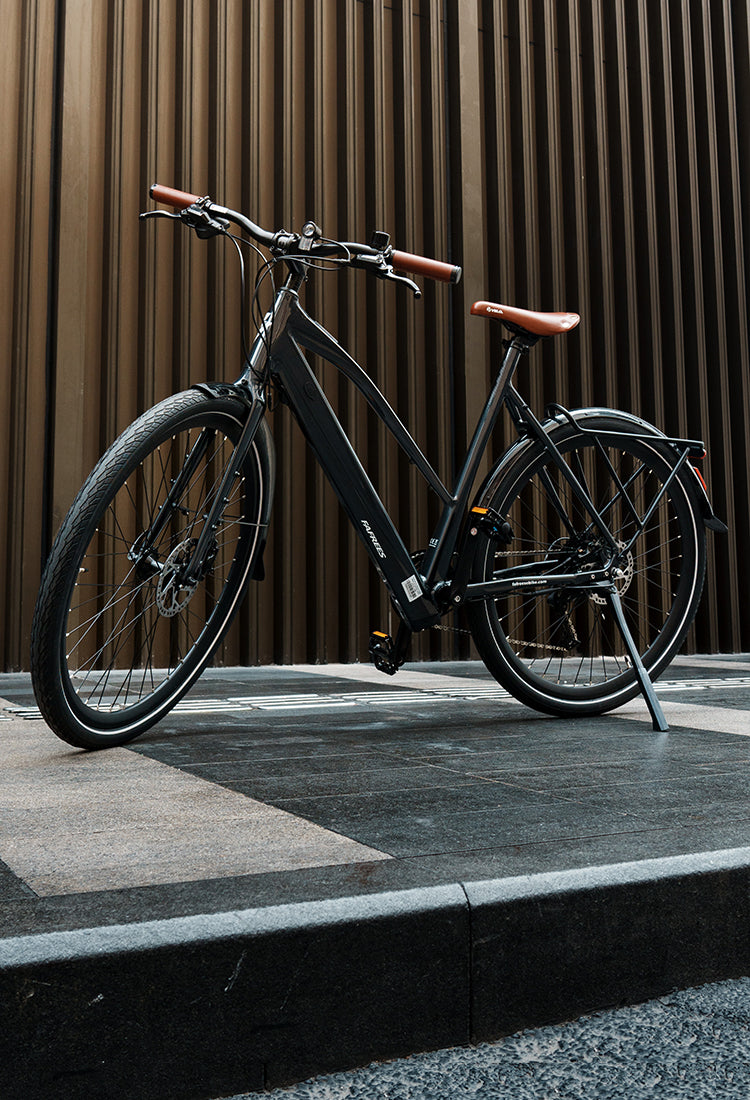 Fafrees Ebike: Folding & City E-Bikes | Fat Tire & Mountain