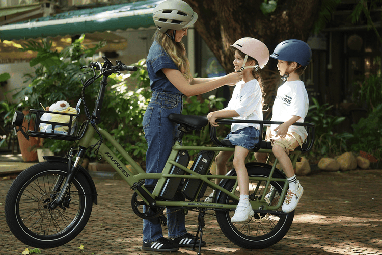 FAFREES FF20 CUV Cargo Basket Kit | Family & Cargo E-Bike Accessories ...