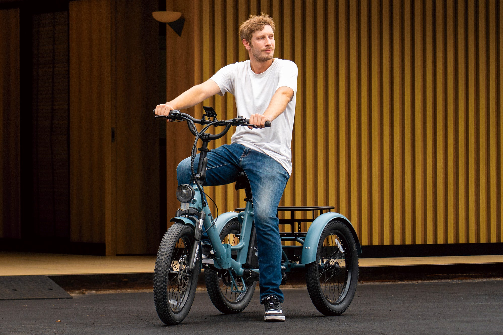 Fafrees F20 Mate Electric Trike: City, Fat Tire, Cargo Ebike, Samsung ...