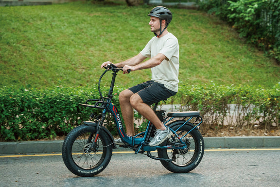 Fafrees F20 Max Ebike: City, Fat Tire, Step-Thru, Folding - 20 inch ...