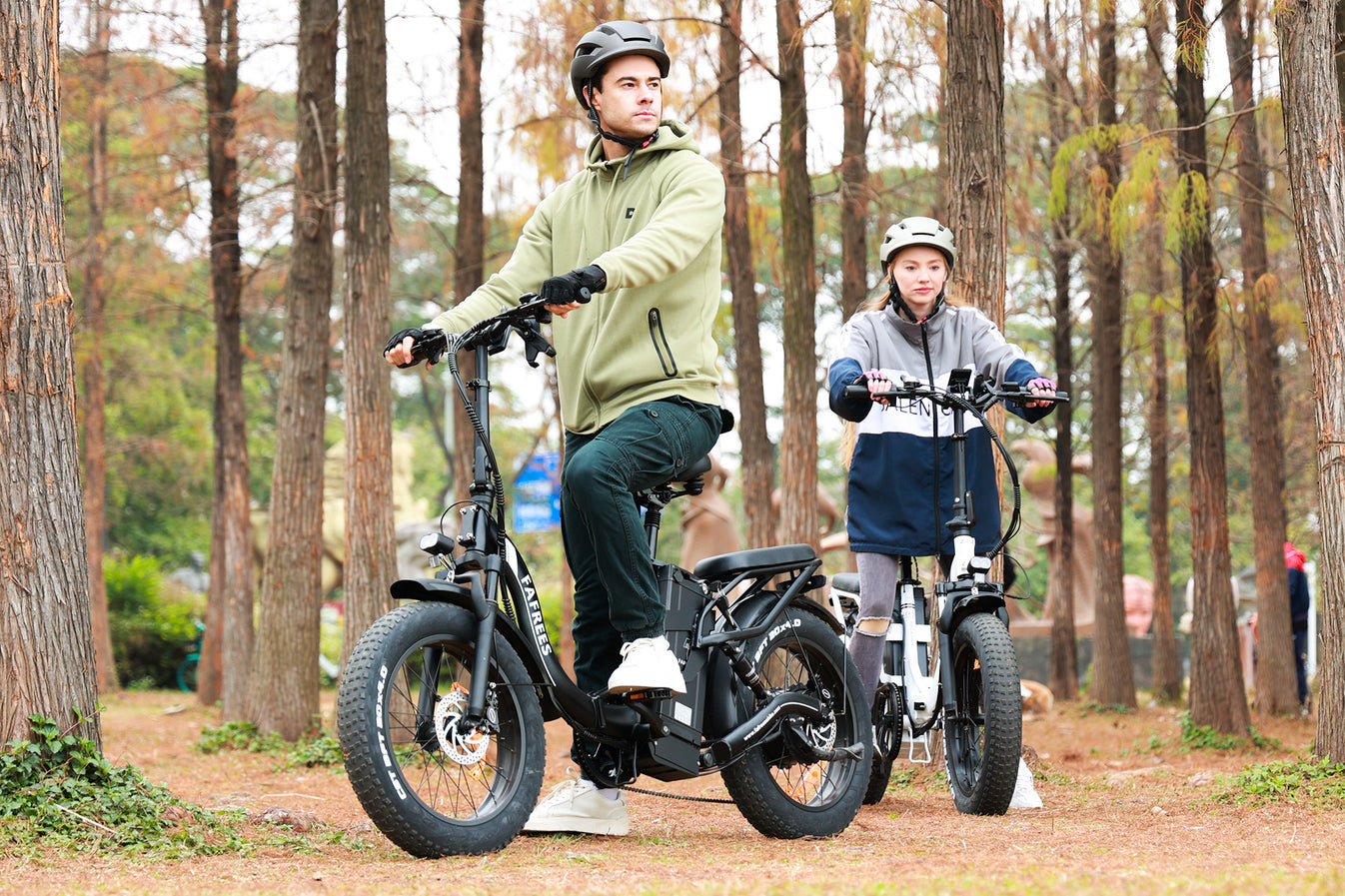 Fafrees F20 X-Max Ebike: City, Fat Tire, Step-Thru, Samsung battery, 20 ...