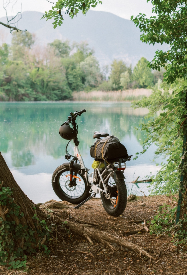 Fafrees Ebike: Folding & City E-Bikes | Fat Tire & Mountain